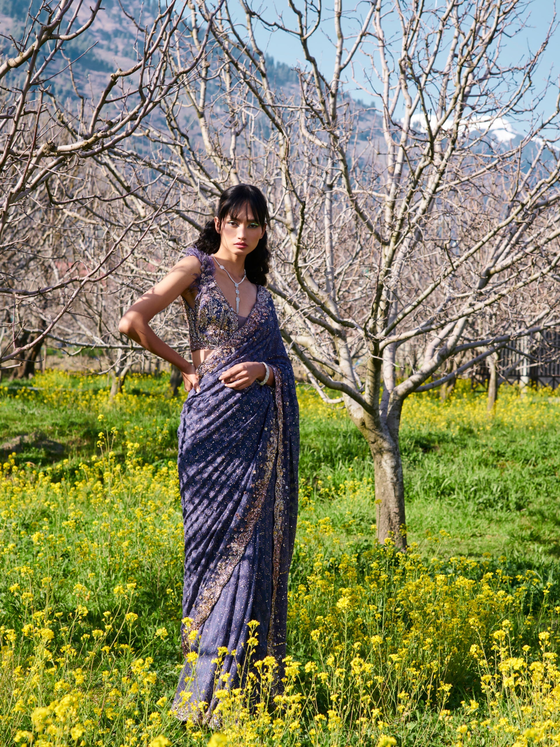 Soft Kramer Chikankari Sari – Karegar